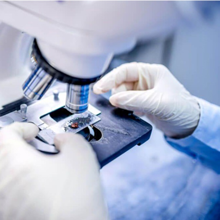 ΜΙΚΡΟΒΙΟΛΟΓΙΚΟ ΕΡΓΑΣΤΗΡΙΟ ΝΑΥΠΛΙΟ | ΚΑΛΑΝΤΖΗ ΓΙΑΝΝΟΠΟΥΛΟΥ ΠΑΝΑΓΙΩΤΑ ...