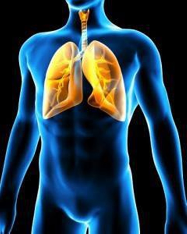 ΠΝΕΥΜΟΝΟΛΟΓΟΣ ΦΥΜΑΤΙΟΛΟΓΟΣ ΡΟΔΟΣ | ΒΟΛΟΝΑΚΗΣ ΜΙΧΑΗΛ - Doctors4U.gr